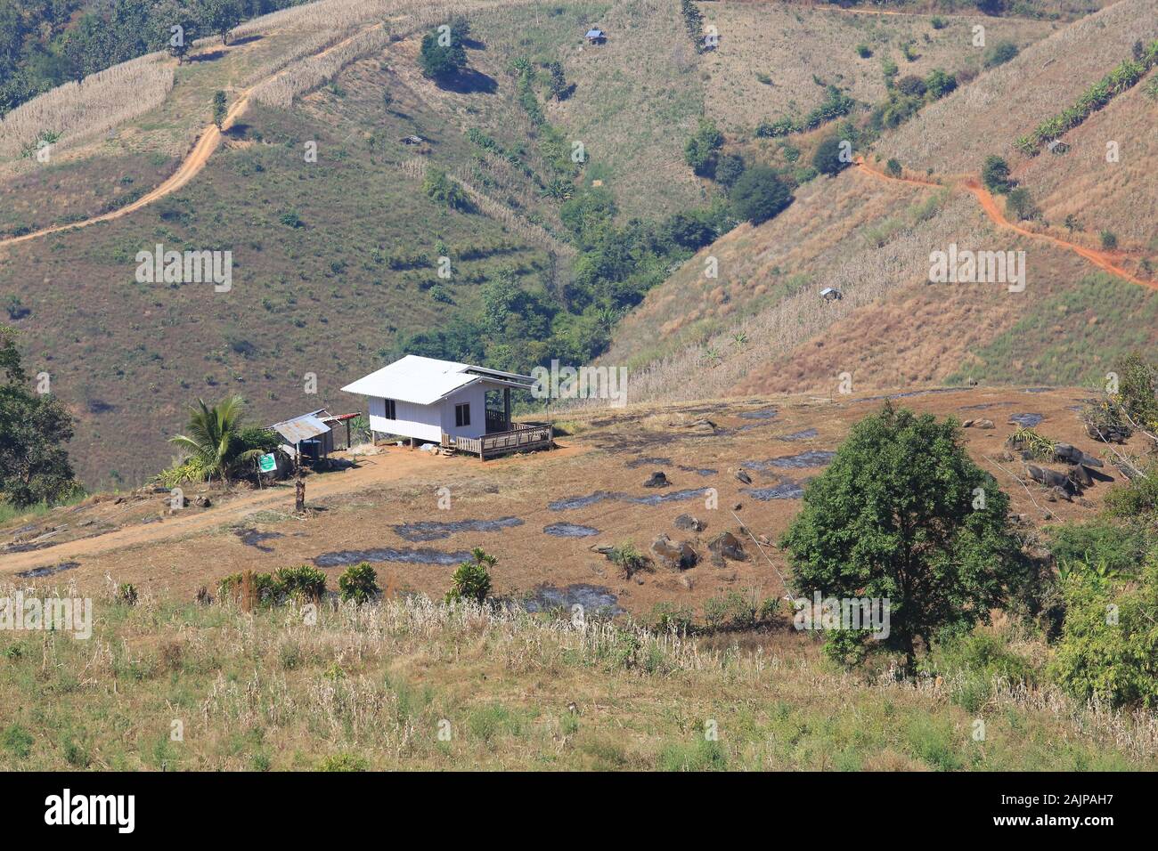 north thailand baan pa bong piang village Stock Photo - Alamy