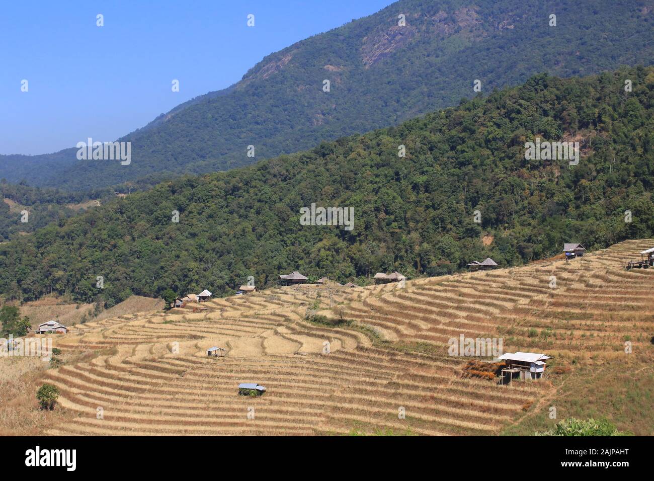 north thailand baan pa bong piang village Stock Photo - Alamy
