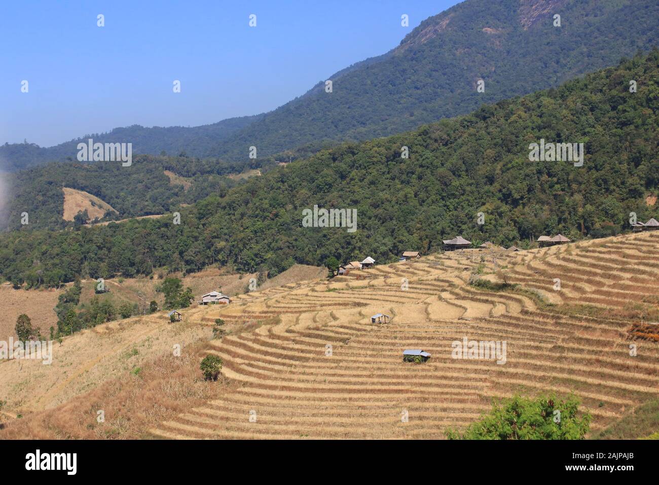 north thailand baan pa bong piang village Stock Photo - Alamy