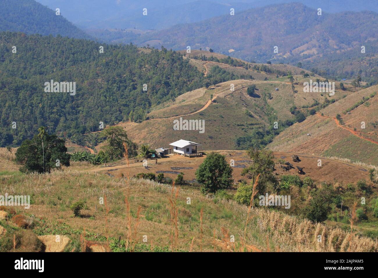 north thailand baan pa bong piang village Stock Photo - Alamy