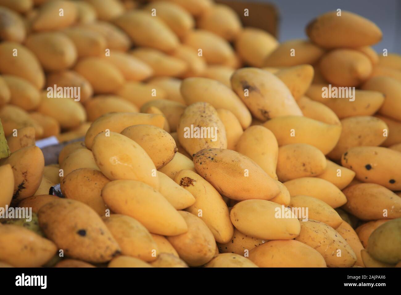 thailand Muang Mai market in Chiang Mai, mango Stock Photo - Alamy