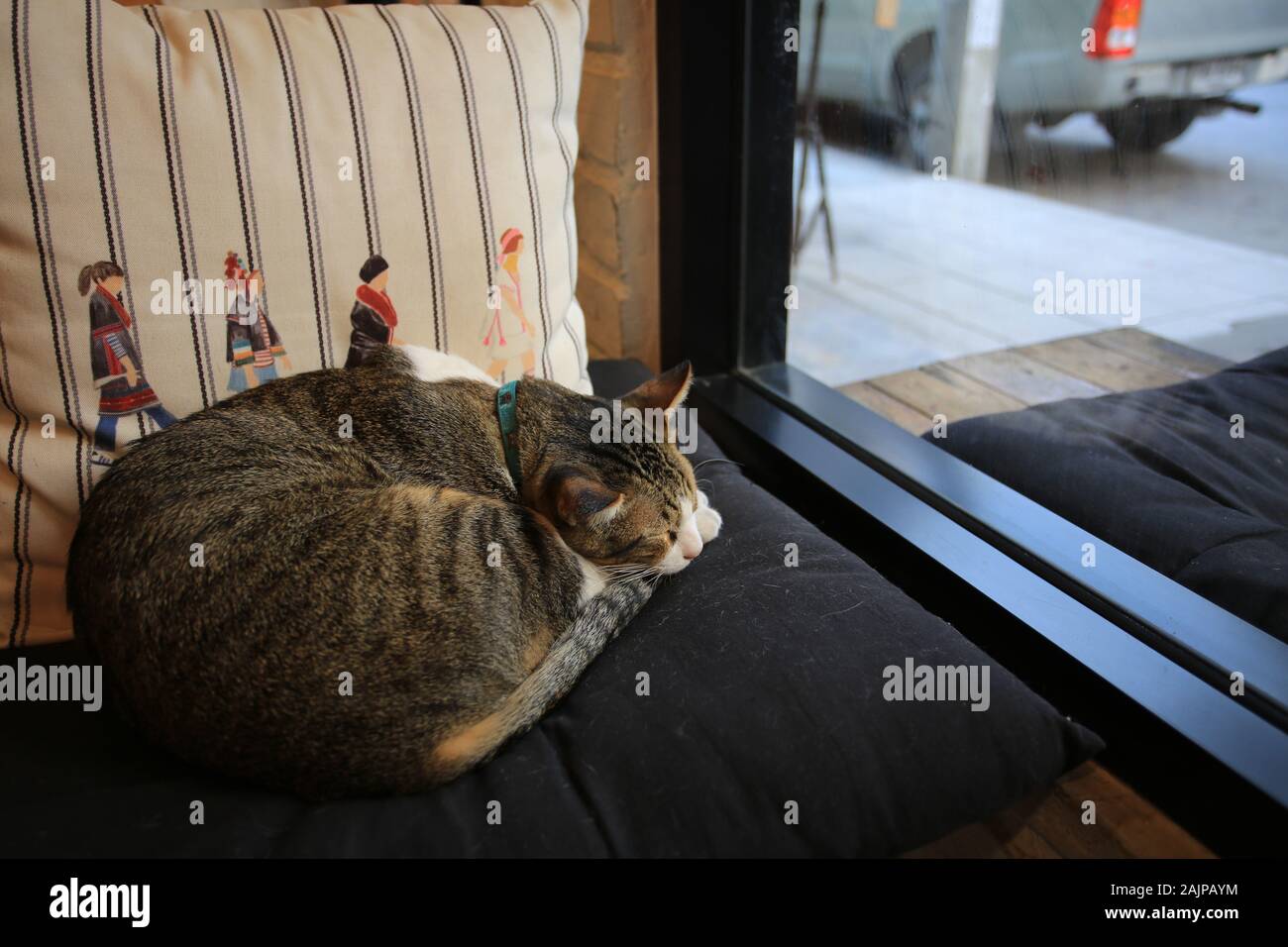 Mai cat hi-res stock photography and images - Alamy
