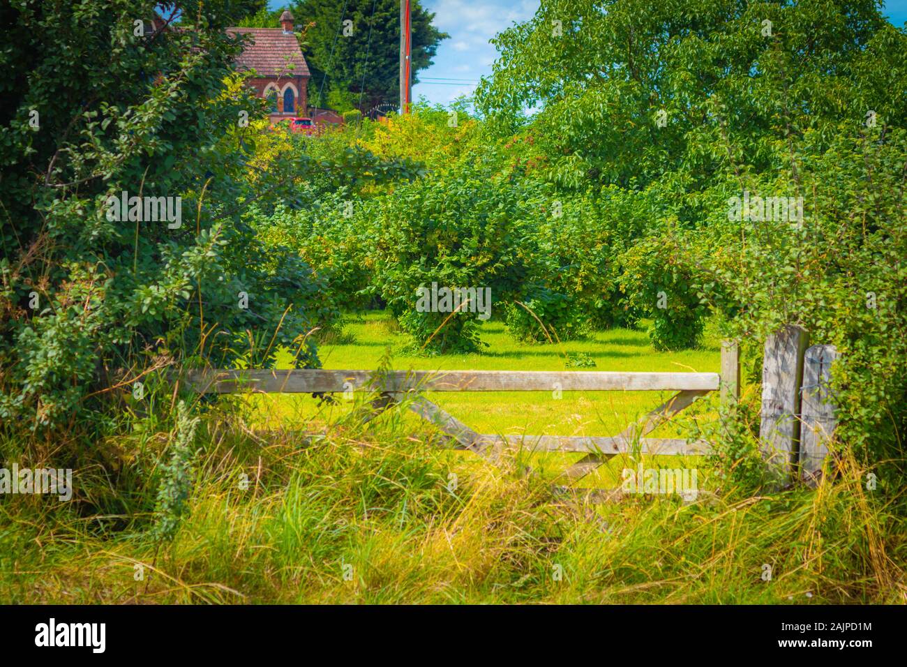 Food farm gate hi-res stock photography and images - Alamy