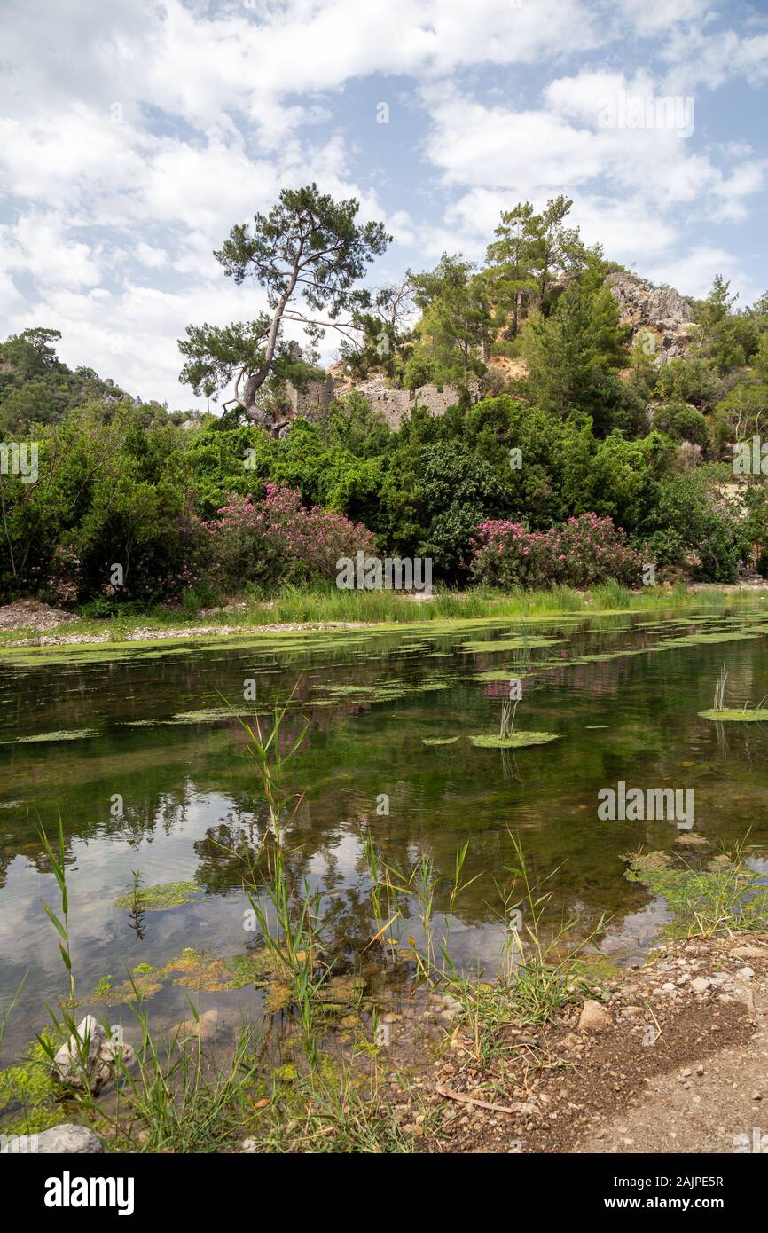 Ruins of the ancient city of Olympos in Cirali village in Antalya ...