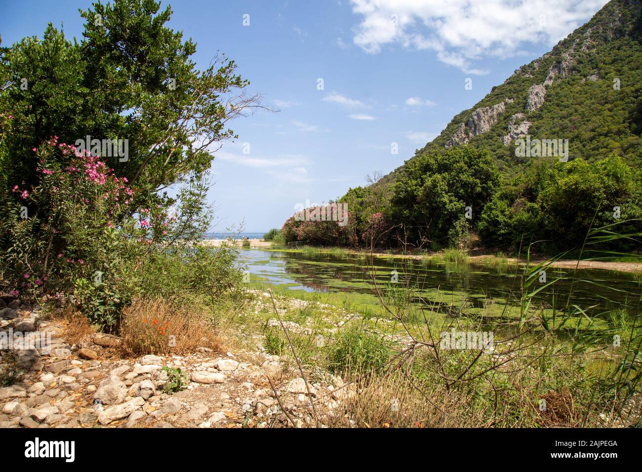 Ruins of the ancient city of Olympos in Cirali village in Antalya ...