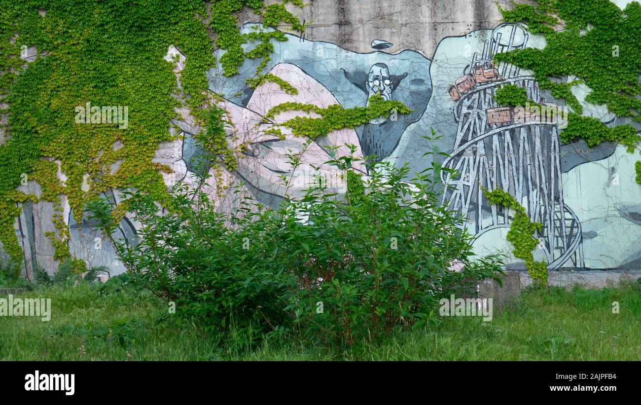 Large street graffiti in Mostar with a green creeper around it, Bosnia ...