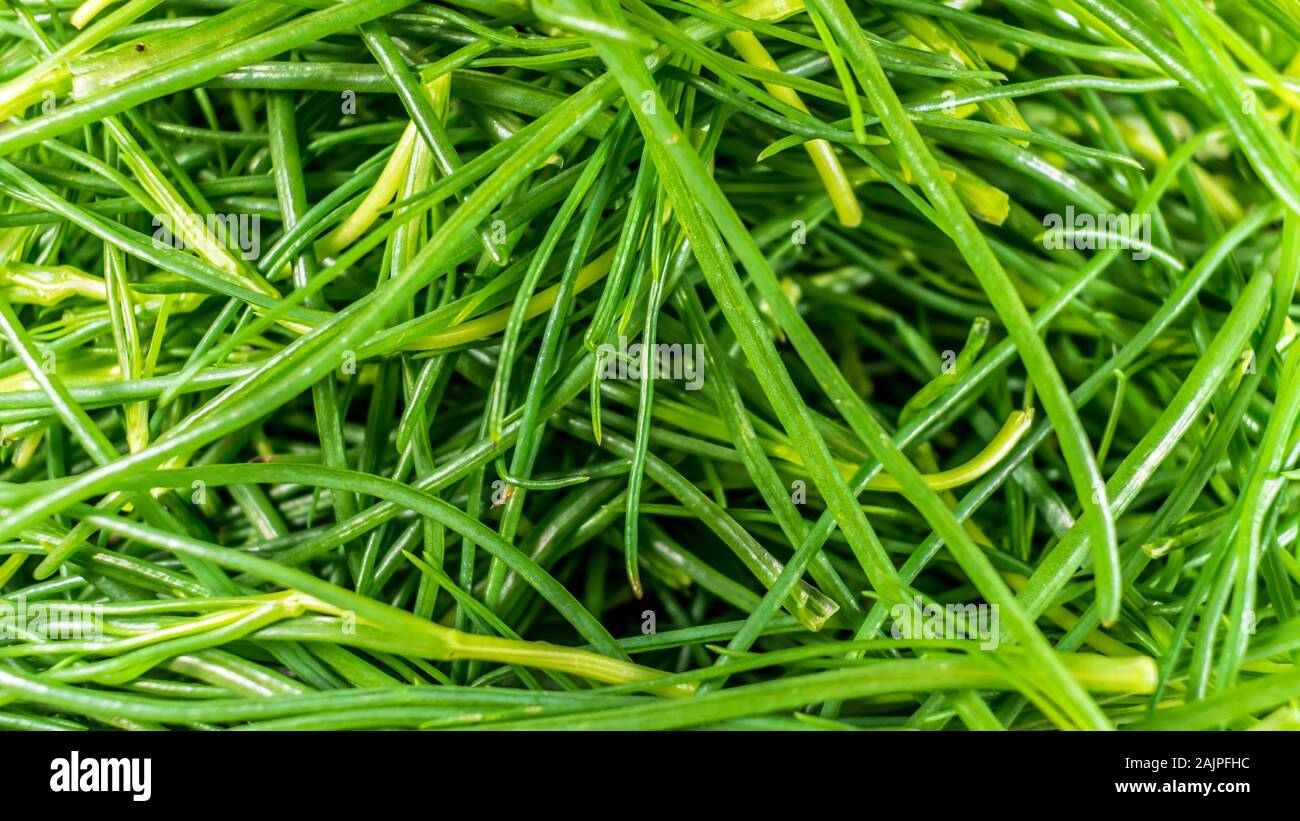 Saltwort leaves hi-res stock photography and images - Alamy