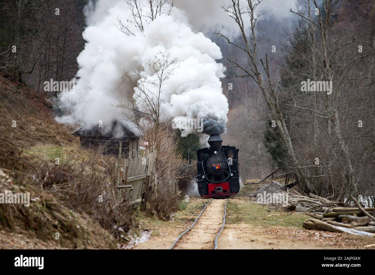 Mocanita, the steam train from Maramures, Romania Stock Photo - Alamy