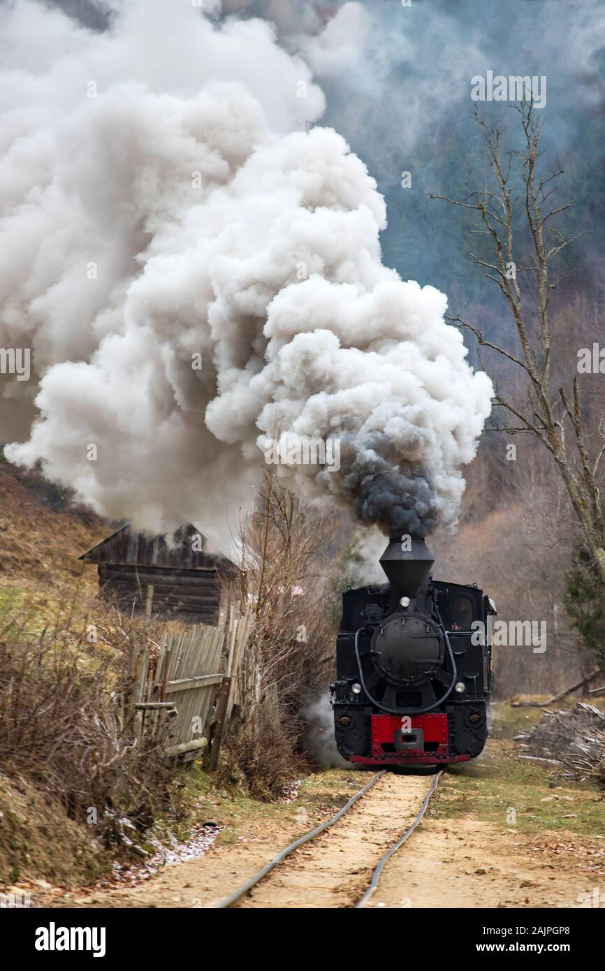 Mocanita, the steam train from Maramures, Romania Stock Photo - Alamy