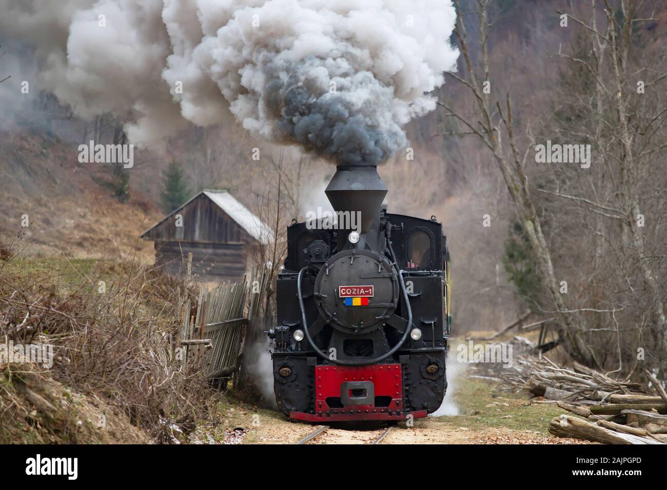 Mocanita, the steam train from Maramures, Romania Stock Photo - Alamy