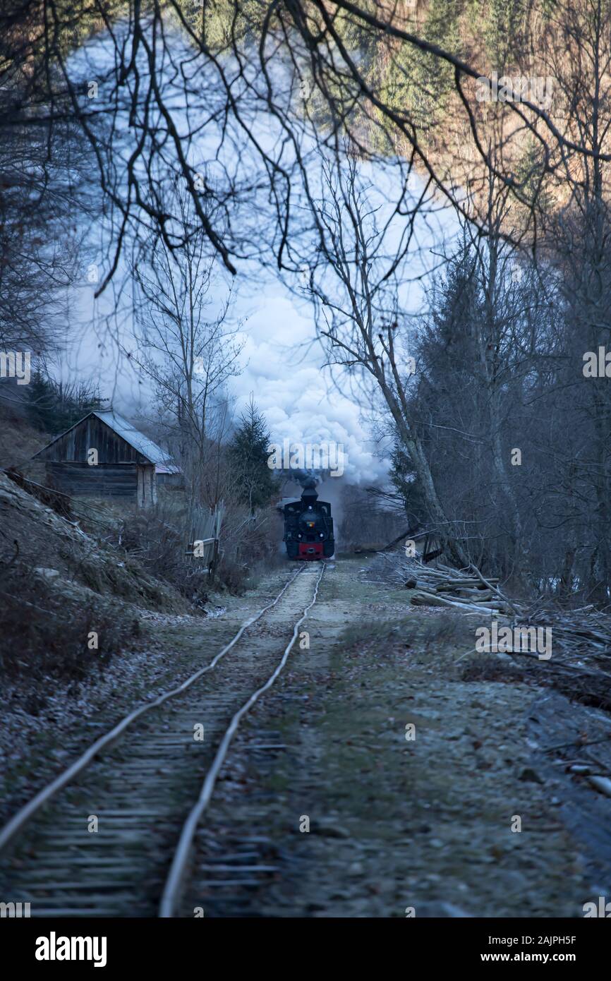 Mocanita, the steam train from Maramures, Romania Stock Photo - Alamy