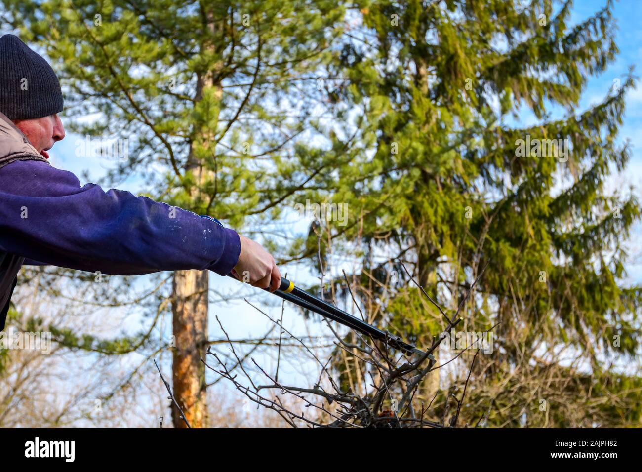 Wrinkled Prune High Resolution Stock Photography and Images - Alamy