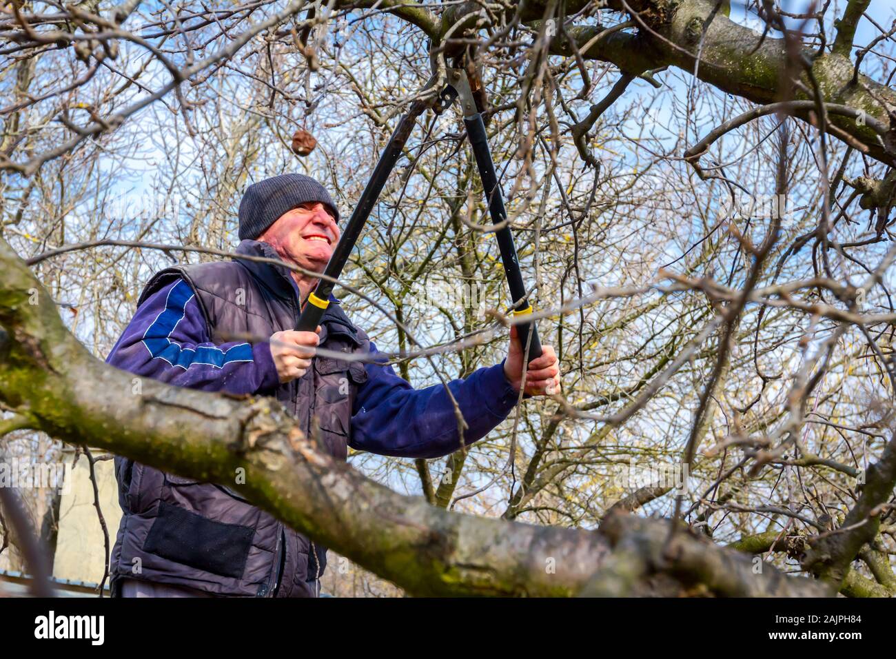 Wrinkled prune hi-res stock photography and images - Alamy