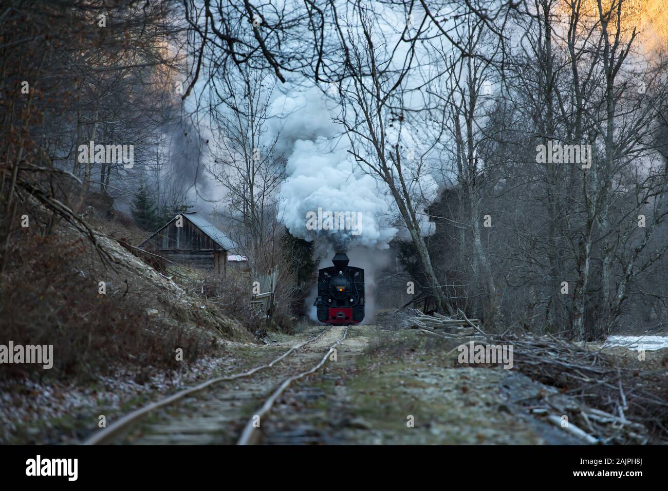 Mocanita, the steam train from Maramures, Romania Stock Photo - Alamy