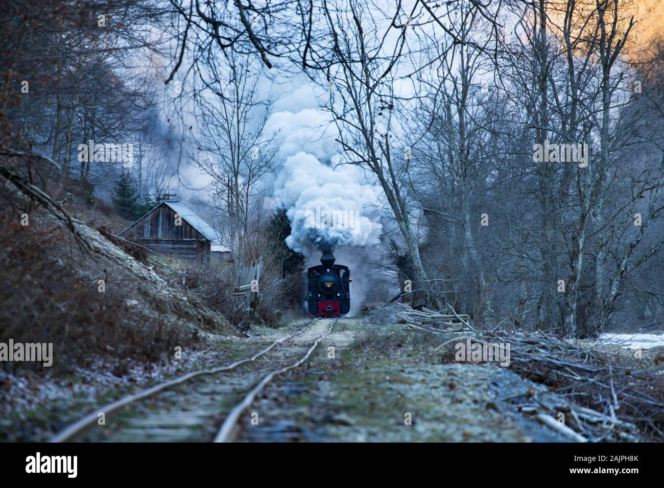 Mocanita, the steam train from Maramures, Romania Stock Photo - Alamy