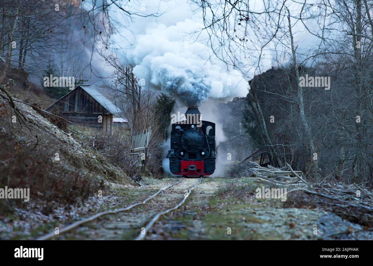 Mocanita, the steam train from Maramures, Romania Stock Photo - Alamy