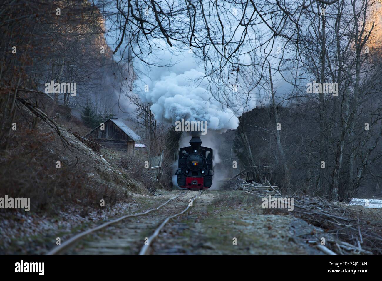 Mocanita, the steam train from Maramures, Romania Stock Photo - Alamy