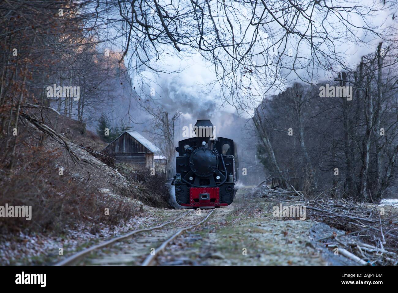 Mocanita, the steam train from Maramures, Romania Stock Photo - Alamy