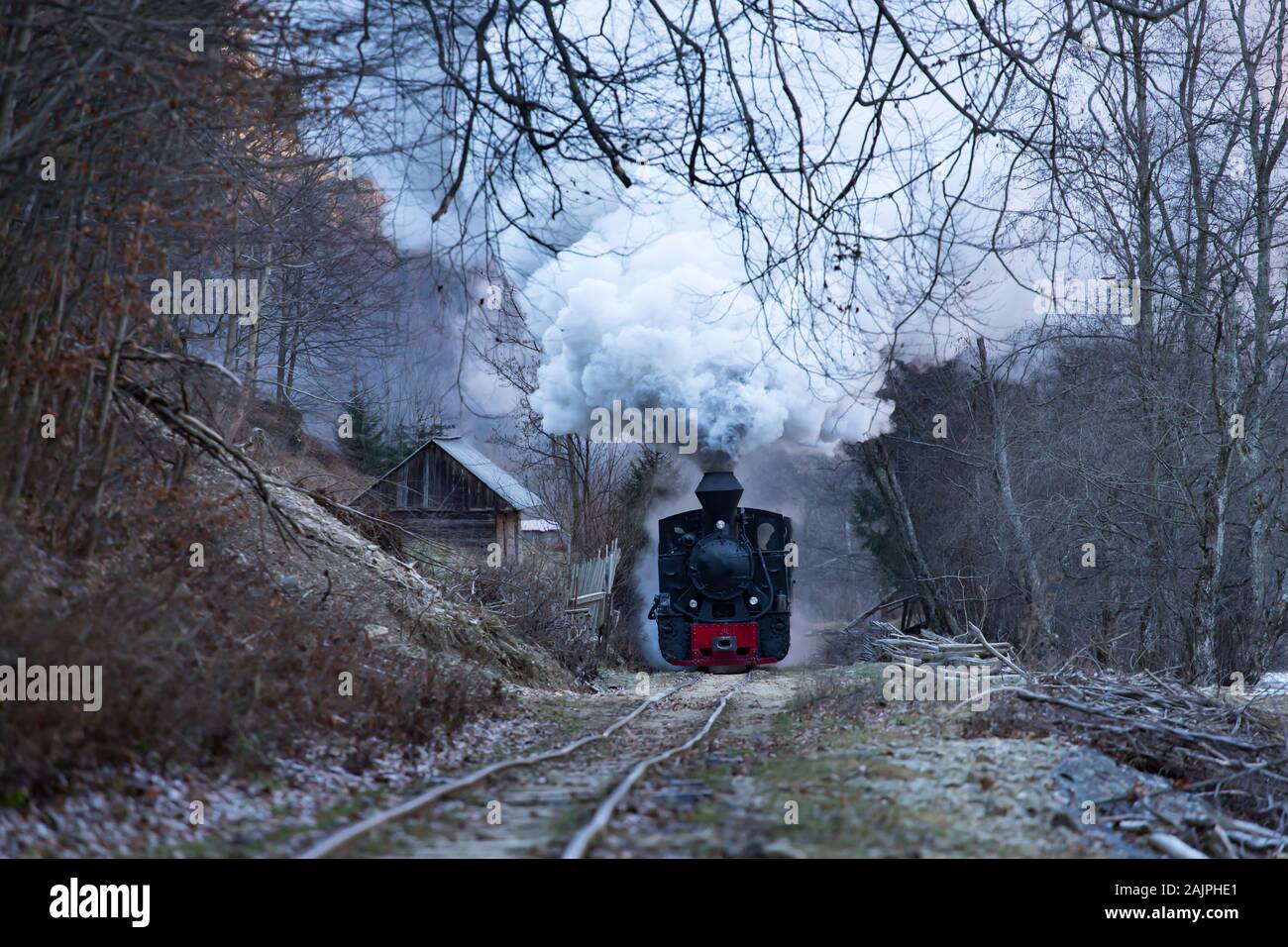 Mocanita, the steam train from Maramures, Romania Stock Photo - Alamy