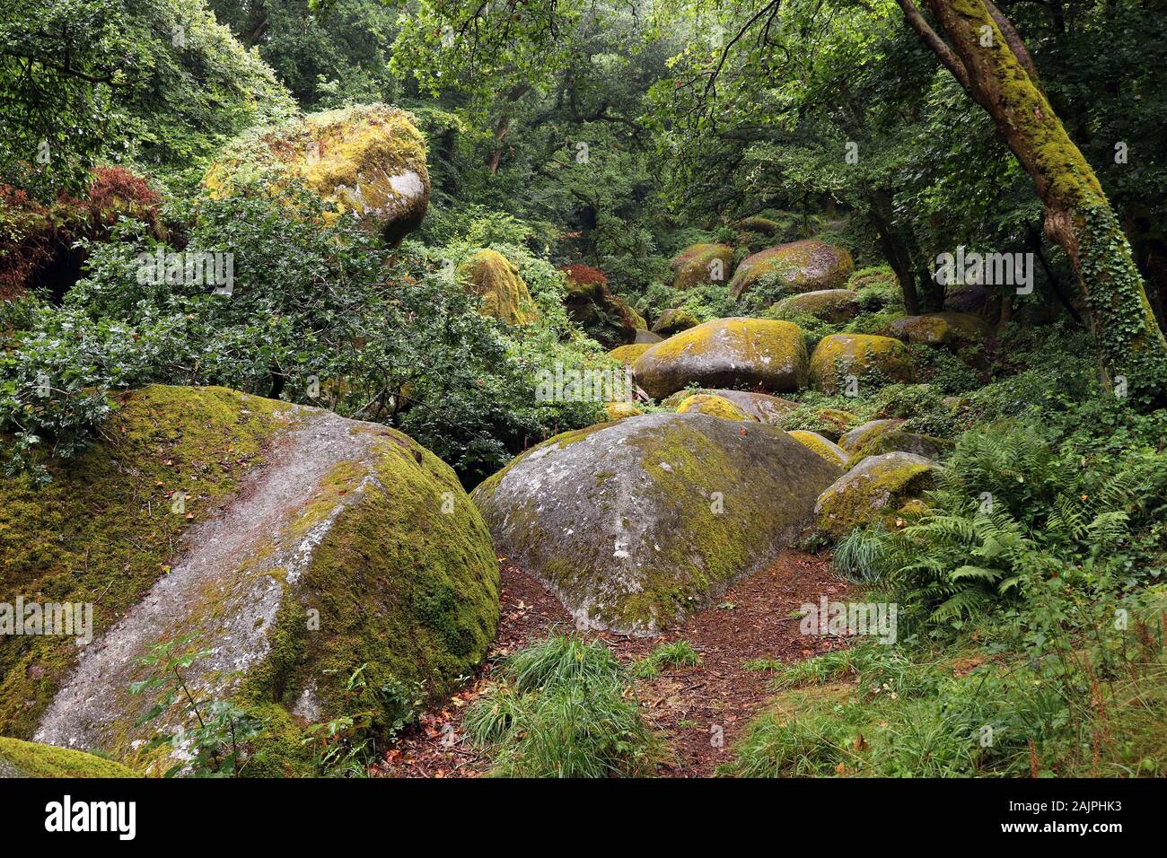 Le Chaos de Rochers or the Chaos of Rocks - jumble of hundreds of large ...