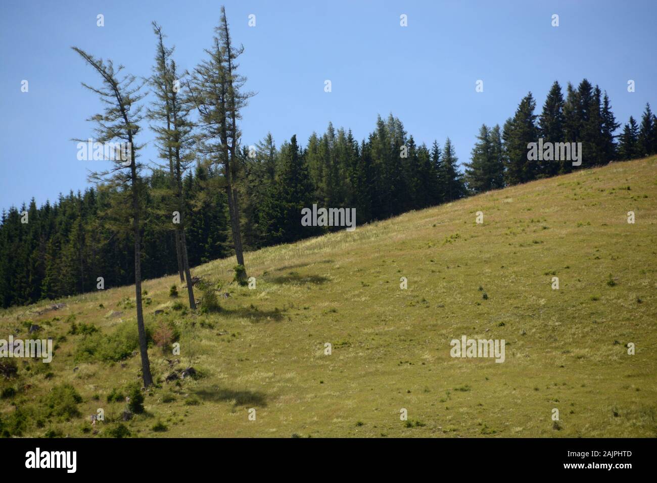 visiting Styrian mountains Stock Photo - Alamy