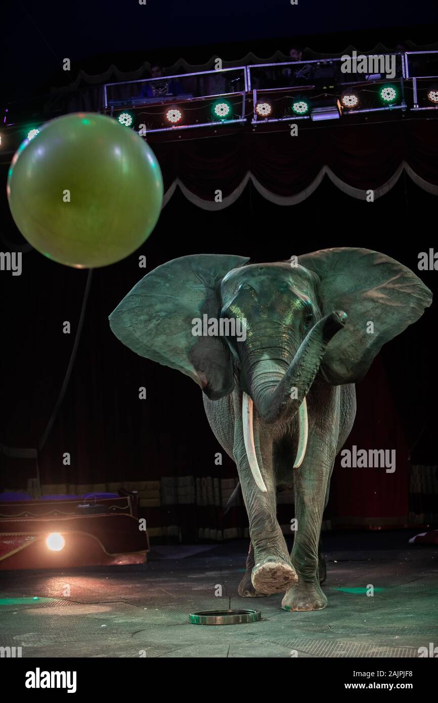 Circus orfei hi-res stock photography and images - Alamy