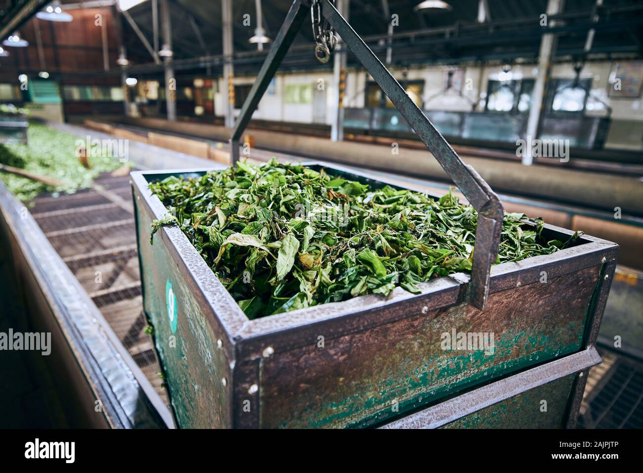 Tea crate hi-res stock photography and images - Alamy