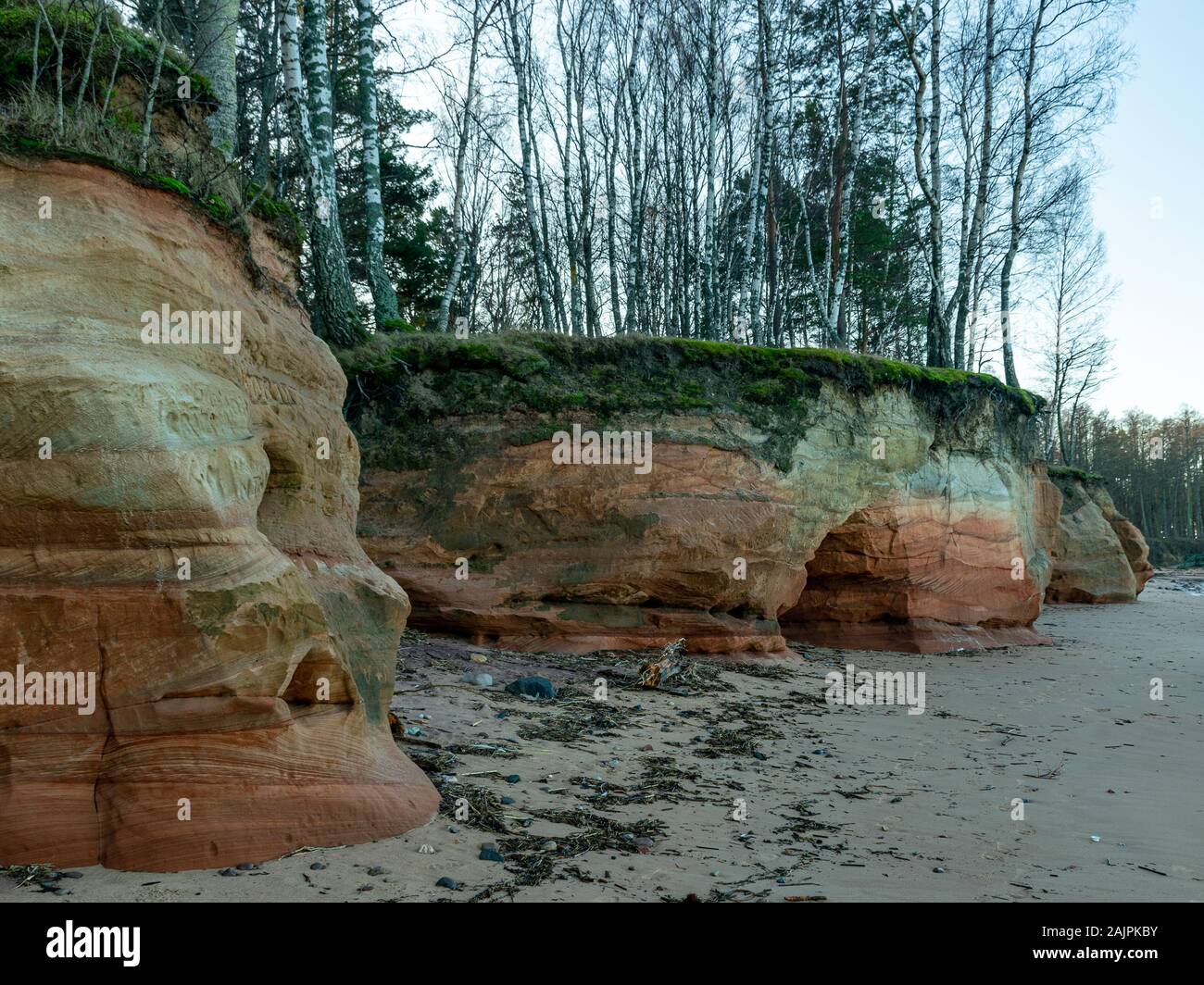 landscape with sandstone cliff at sunrise, rocky seashore, windy ...