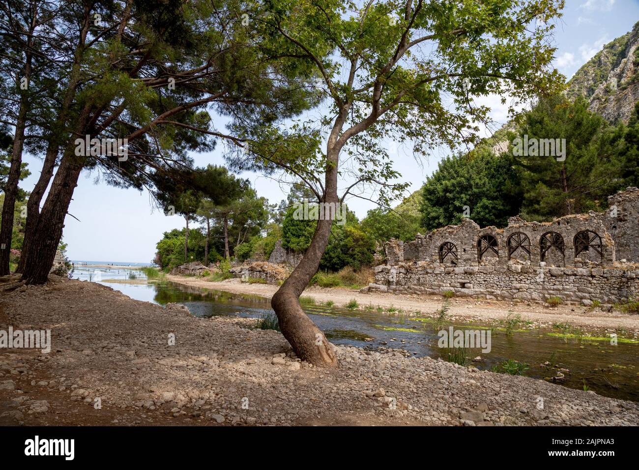Ruins of the ancient city of Olympos in Cirali village in Antalya ...