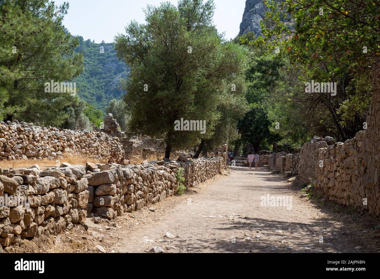 Ducks swim in the creek Stock Photo - Alamy