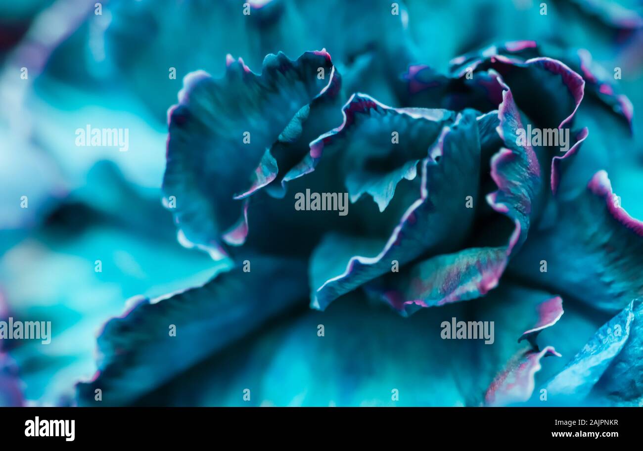 Retro art, vintage card and botanical concept - Abstract floral ...