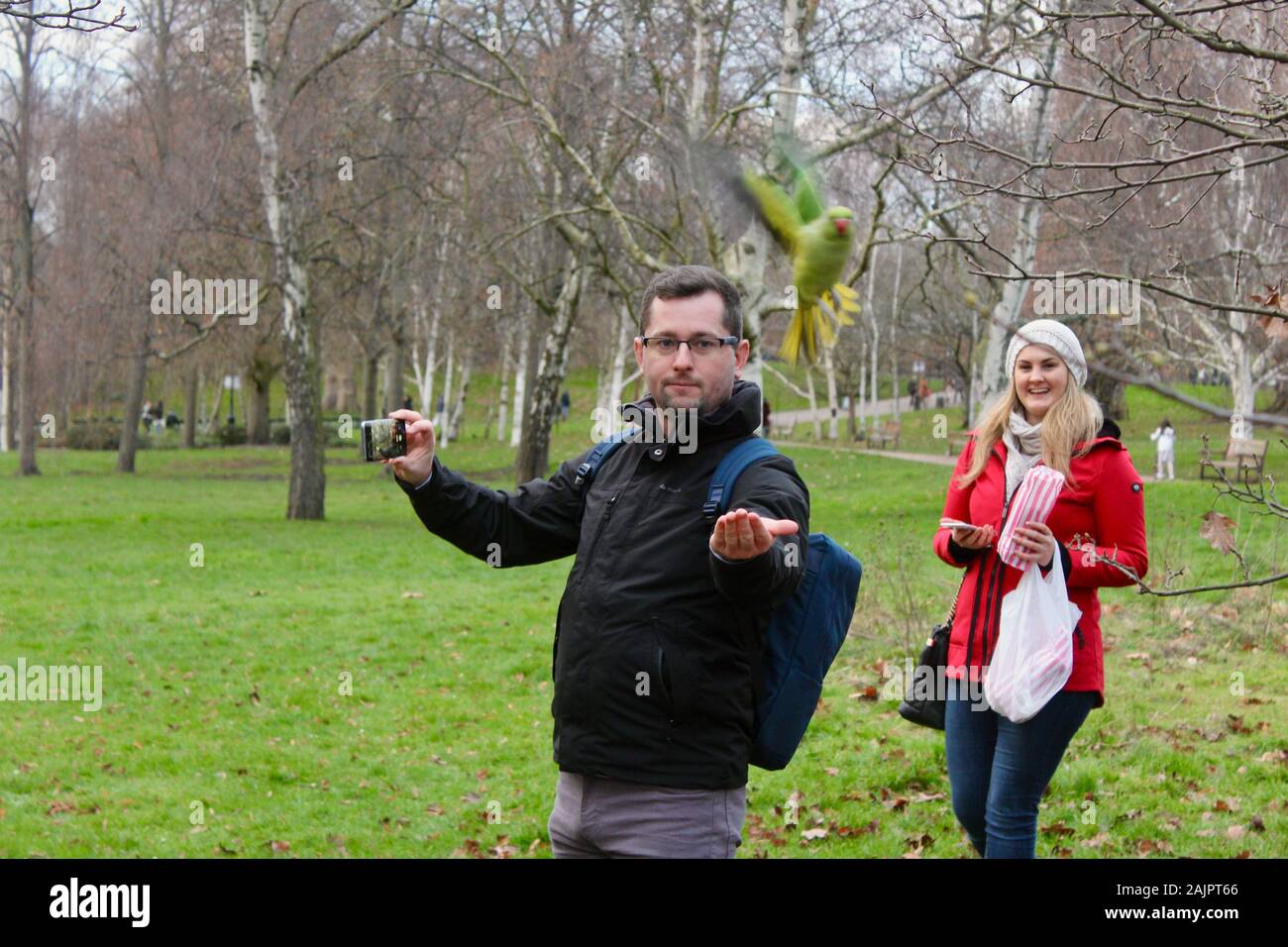 tourists feeding parakeets in hyde park london england uk Stock Photo ...