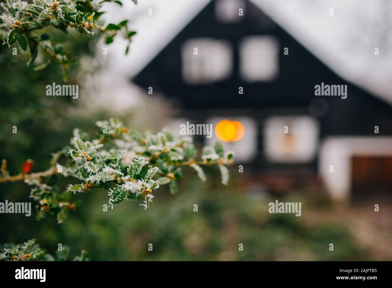 the first frost in the background with the house where it is lit and ...