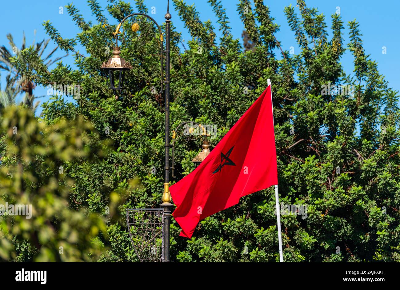 Morocco flag on a background of tree foliage, Marrakesh, Morocco. With ...