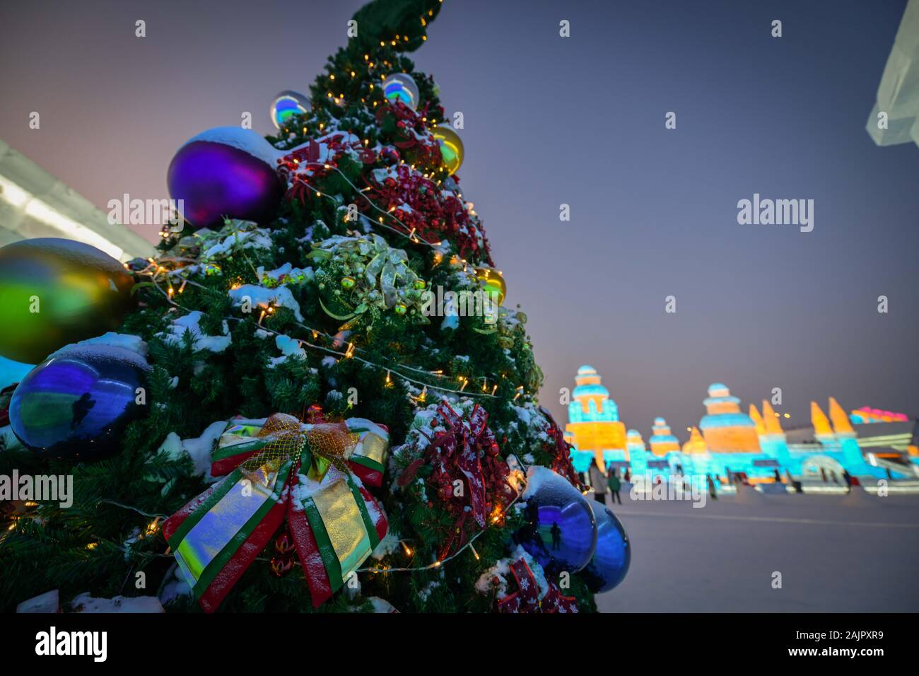Harbin, China. 5th Jan, 2020. A Christmas tree is seen on the 36th ...