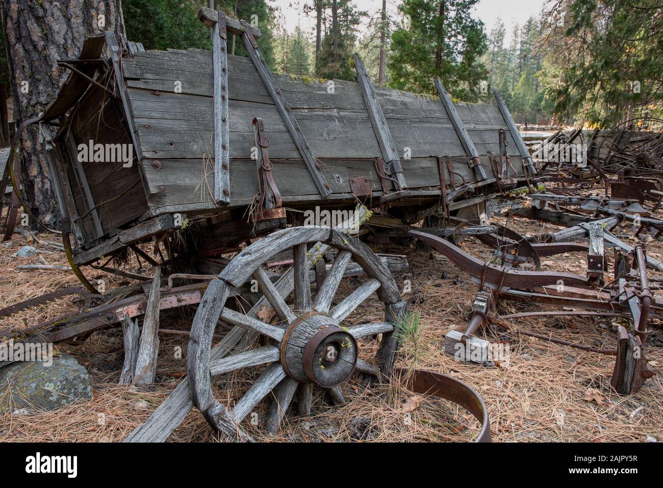 Gold rush remains hi-res stock photography and images - Alamy