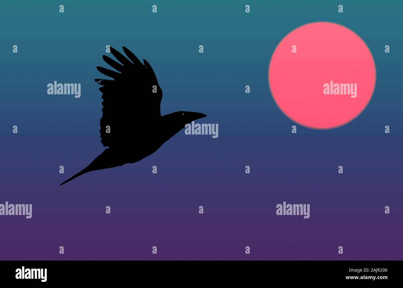 Crow Silhouette Flying High Resolution Stock Photography and Images - Alamy