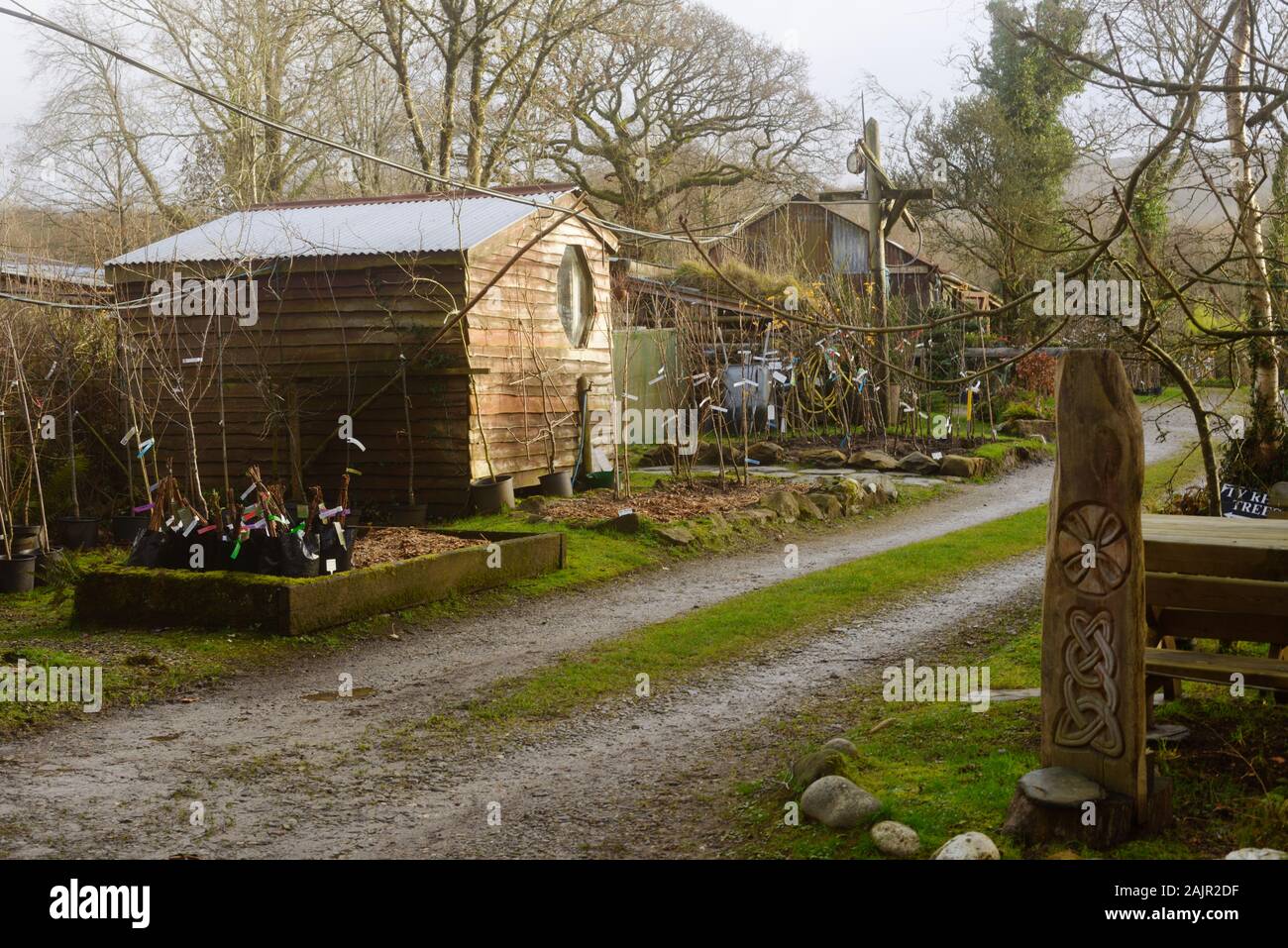 Ty Rhos Trees, specialist tree and plant nursery in Pembrokeshire ...