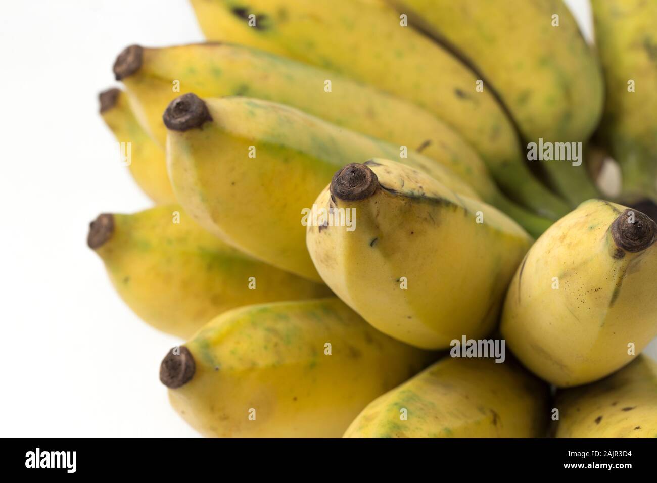 Pisang Awak Banana Isolate White Background Stock Photo - Alamy