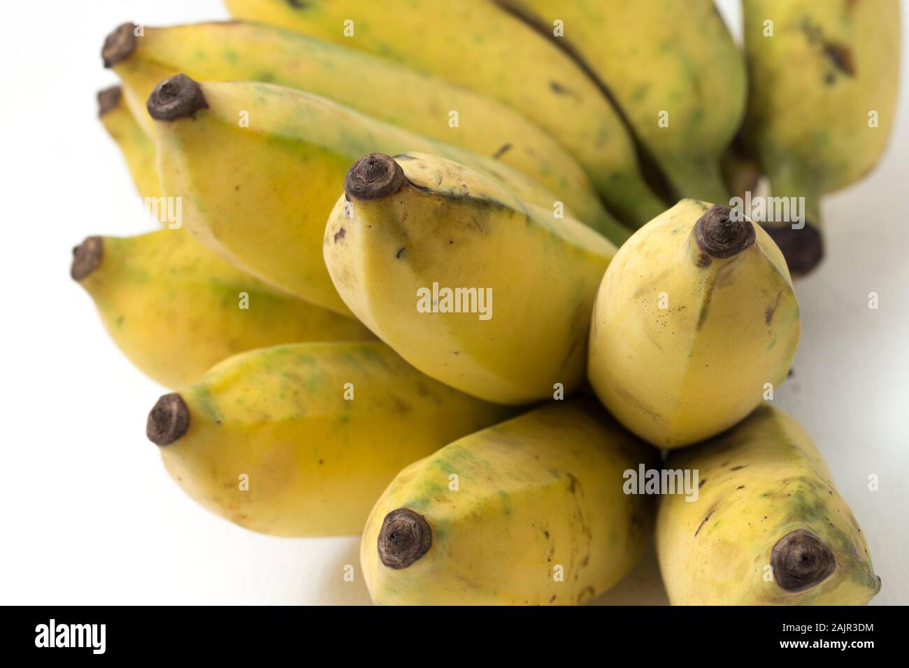 Pisang Awak High Resolution Stock Photography and Images - Alamy