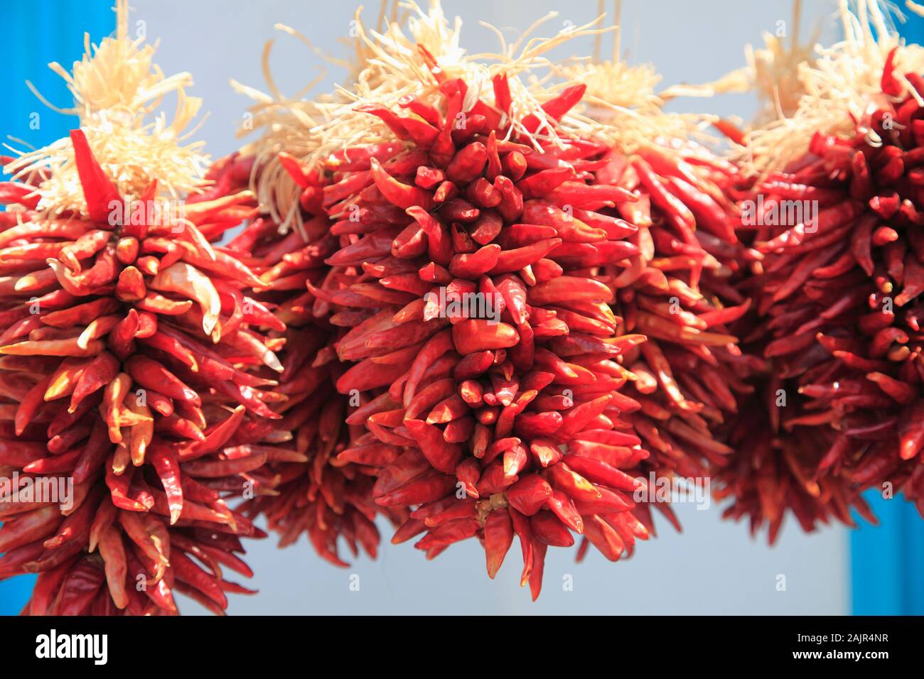 Dried Chillies, Chili Ristras, Old Town, Albuquerque, New Mexico, USA ...
