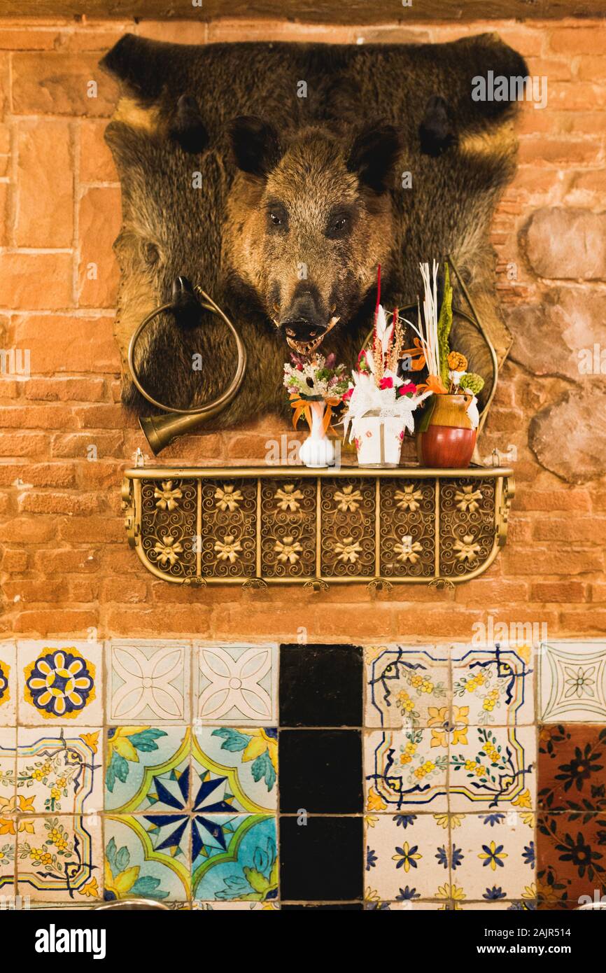 Stuffed boar head hanging from a wall Stock Photo - Alamy