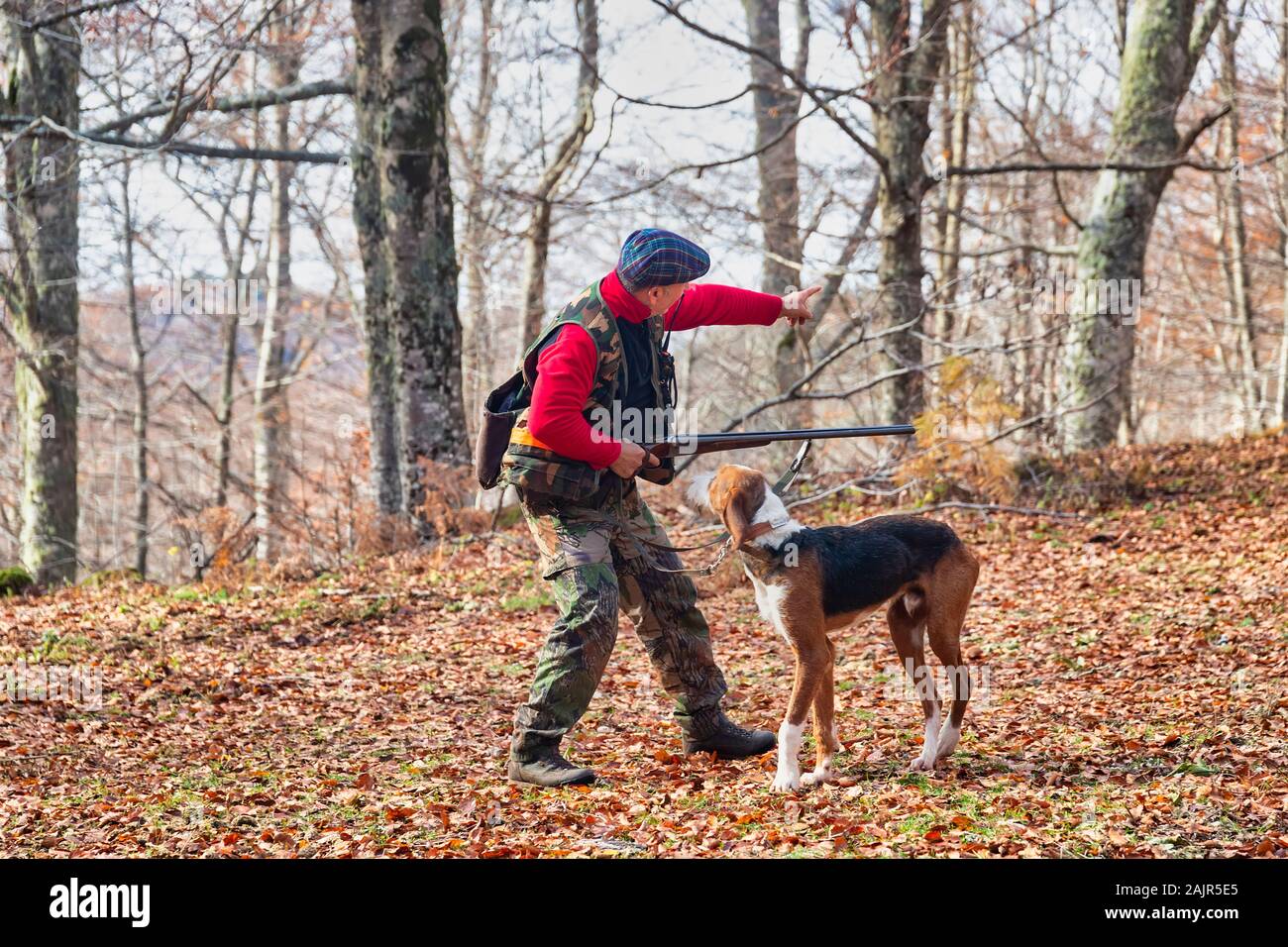 hunter with weapon and hunting dog chasing in the forest Stock Photo ...