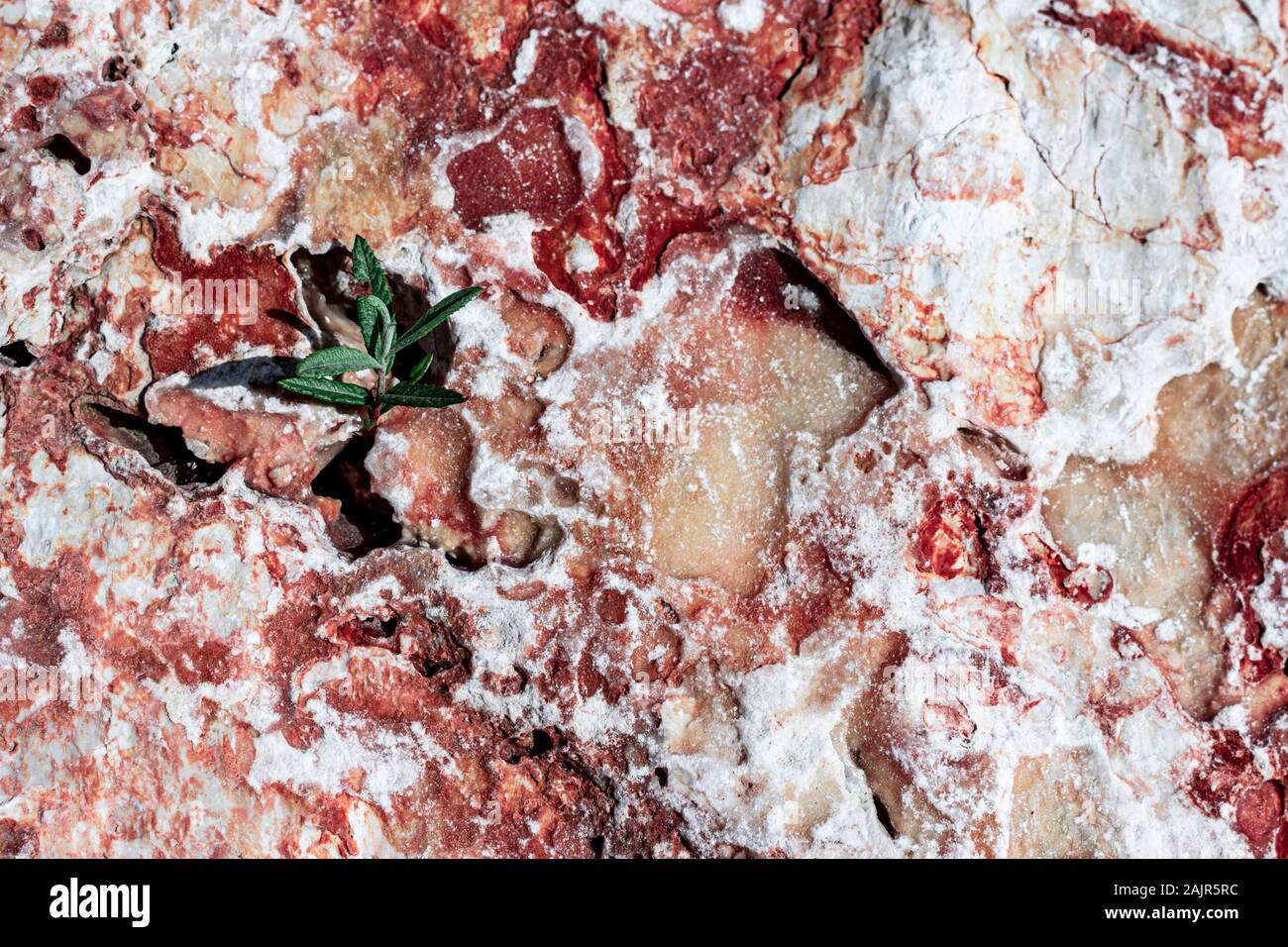 Sedimentary Rock Texture High Resolution Stock Photography and Images ...