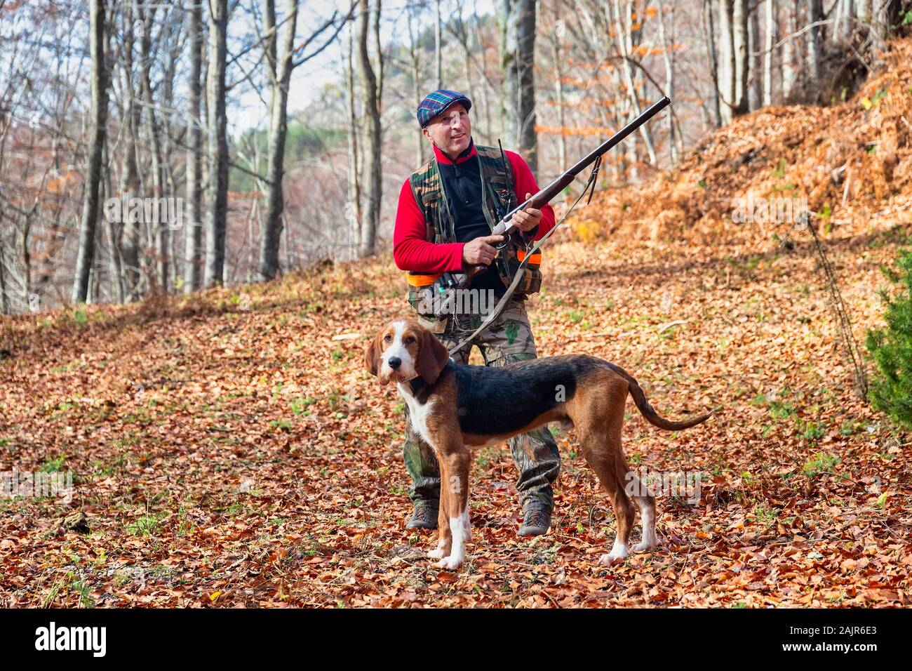 hunter with weapon and hunting dog chasing in the forest Stock Photo ...