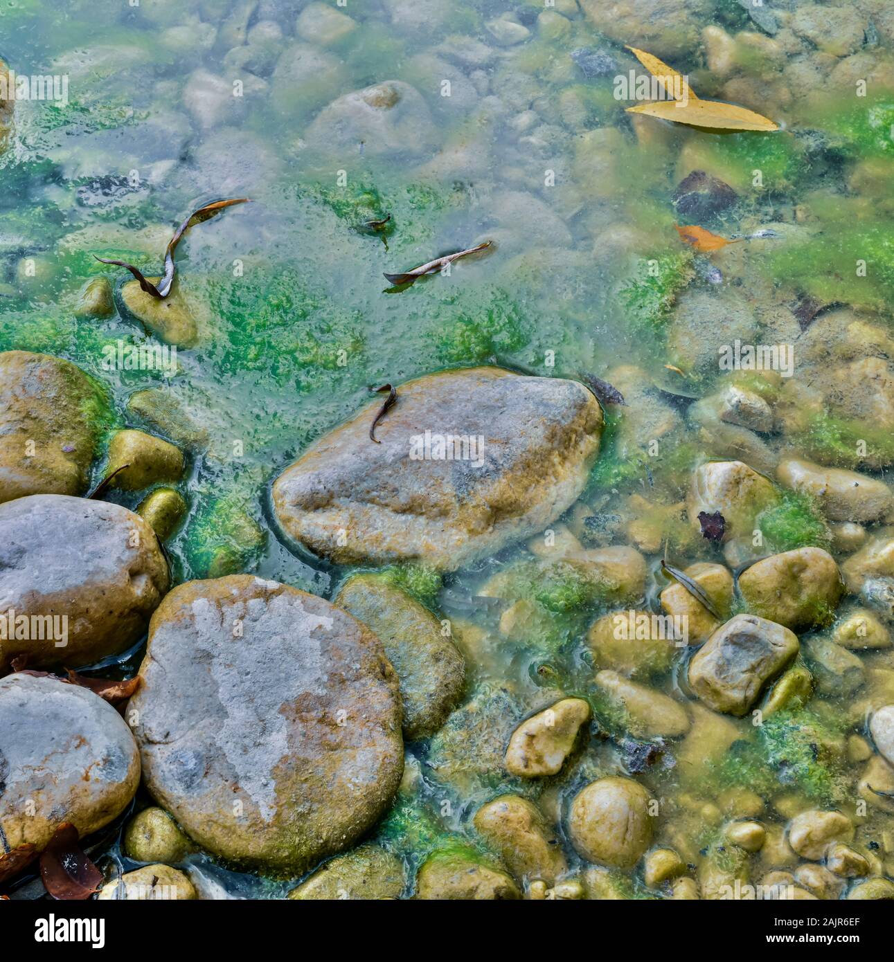 Dried up swamp hi-res stock photography and images - Alamy