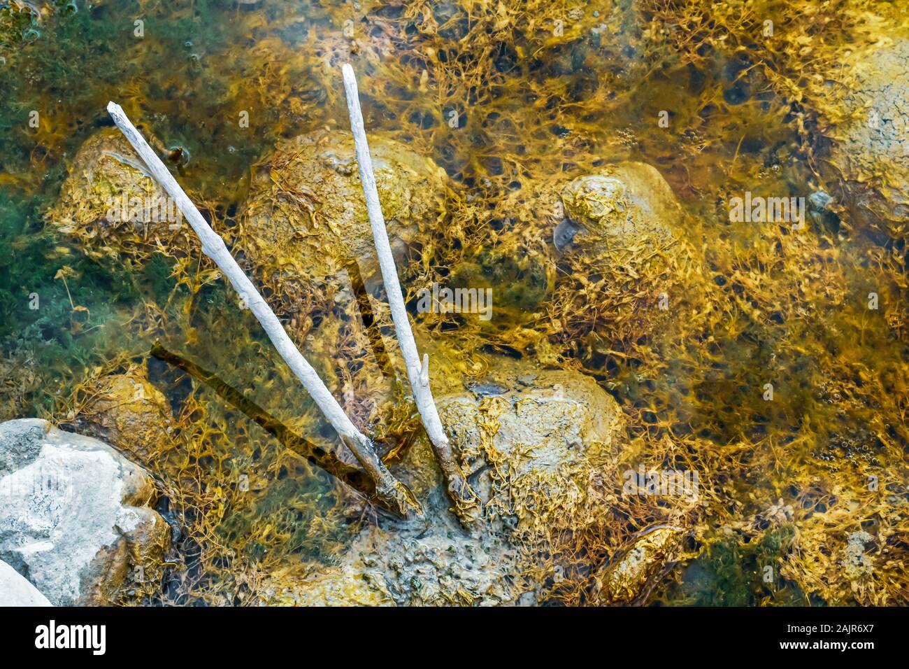 Dried up brook hi-res stock photography and images - Alamy