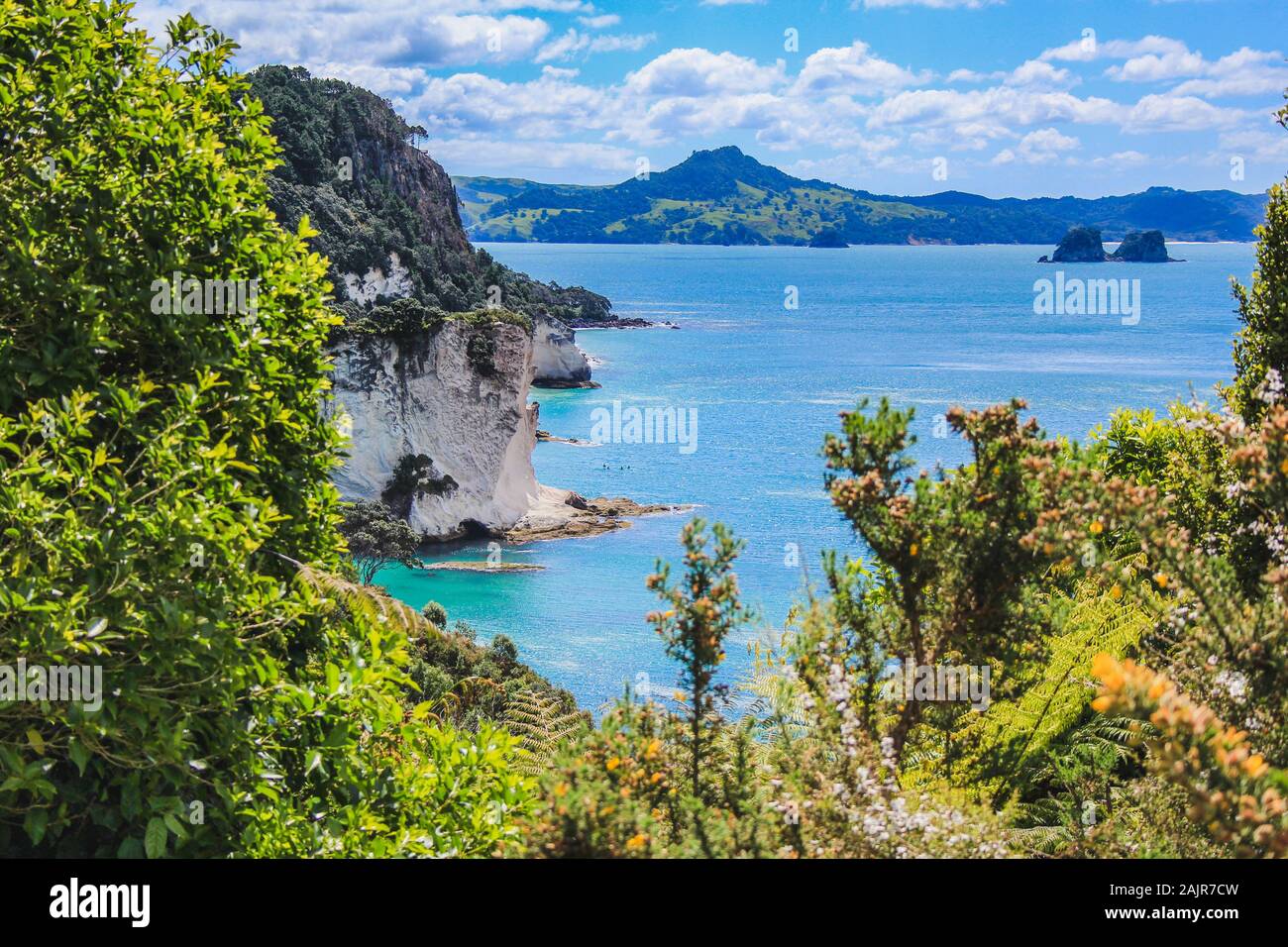 beautiful scenery on the way to Cathedral Cove on Coromandel Peninsula ...