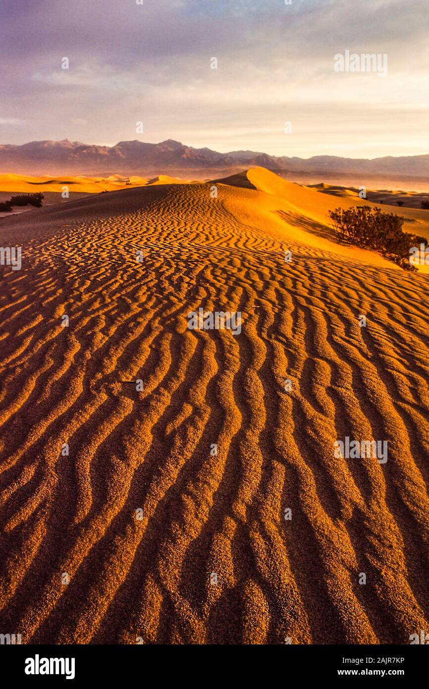 Sand dunes in Death valley National Park, California. Wind blowing sand ...
