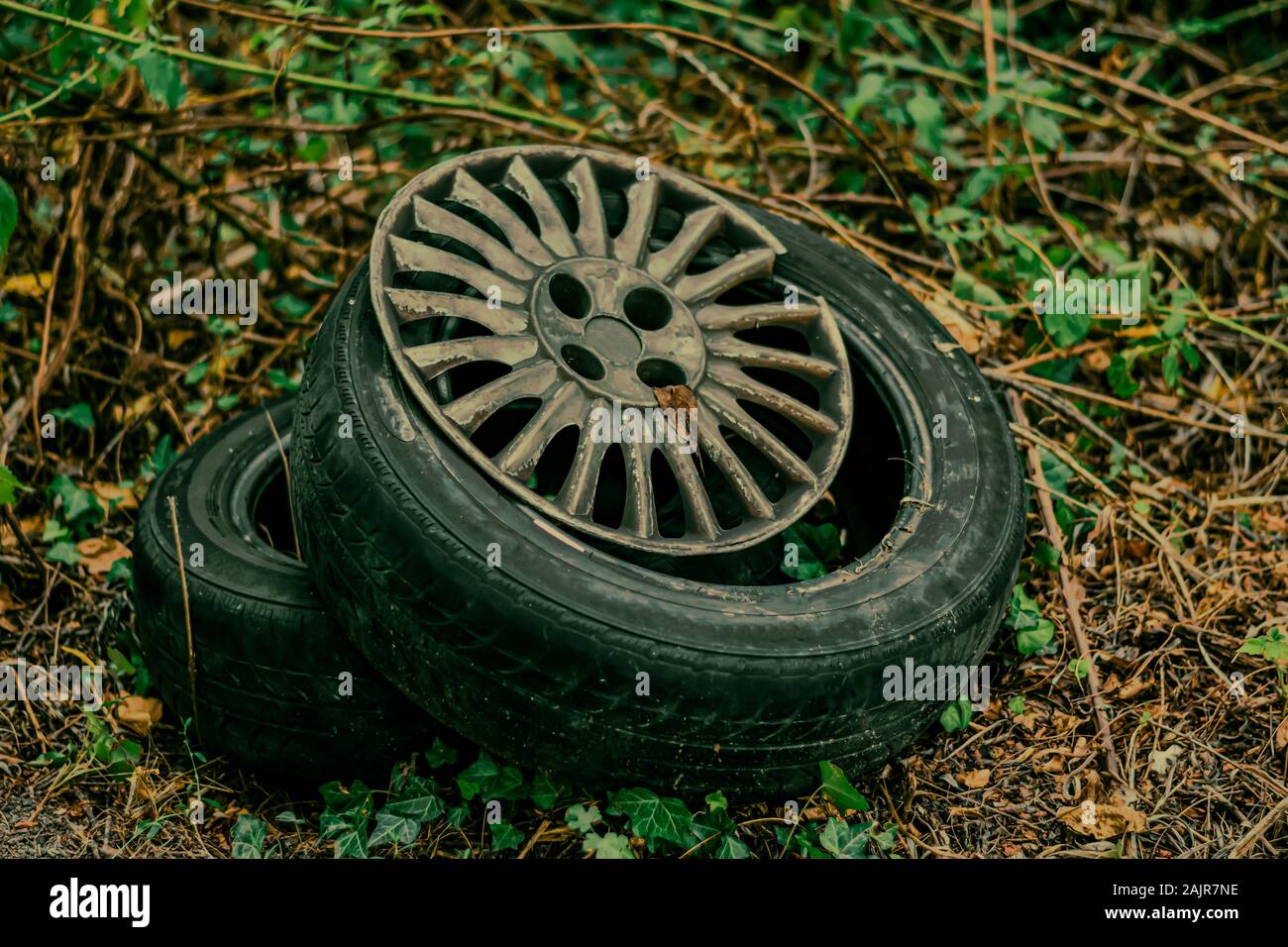 Wheel woods hi-res stock photography and images - Alamy